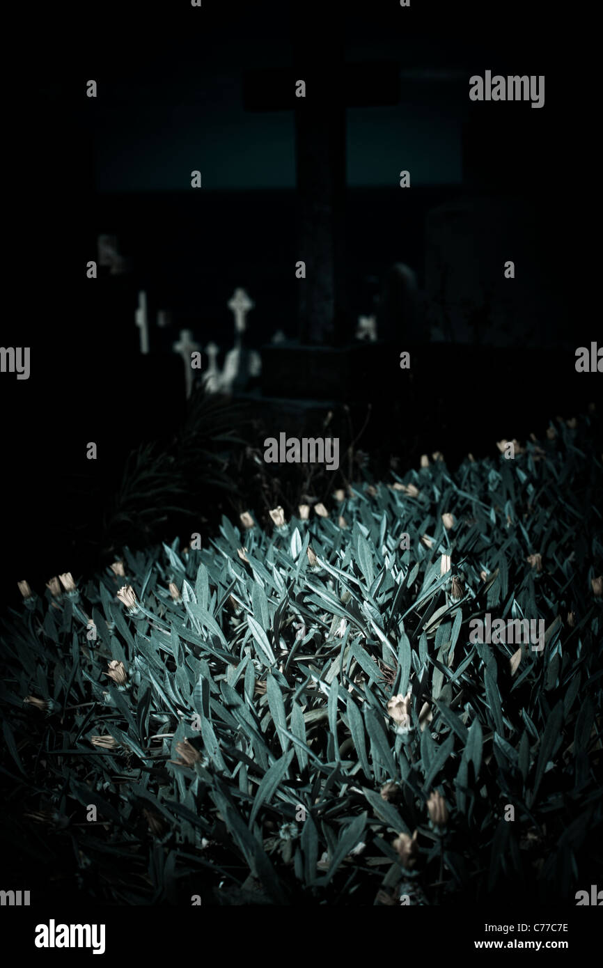 A dark, brooding image of a cemetery Stock Photo - Alamy