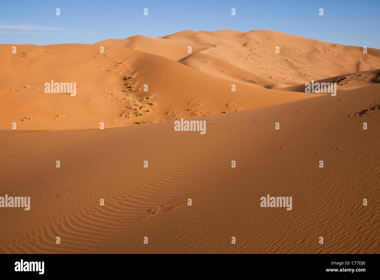 Sandscapes in the desert Stock Photo - Alamy
