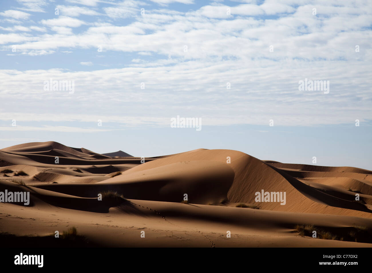 Sandscapes in desert hi-res stock photography and images - Alamy