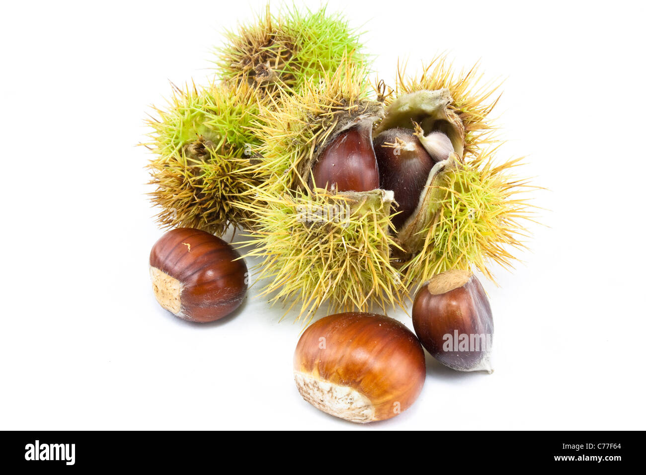 Chestnut cases hi-res stock photography and images - Alamy