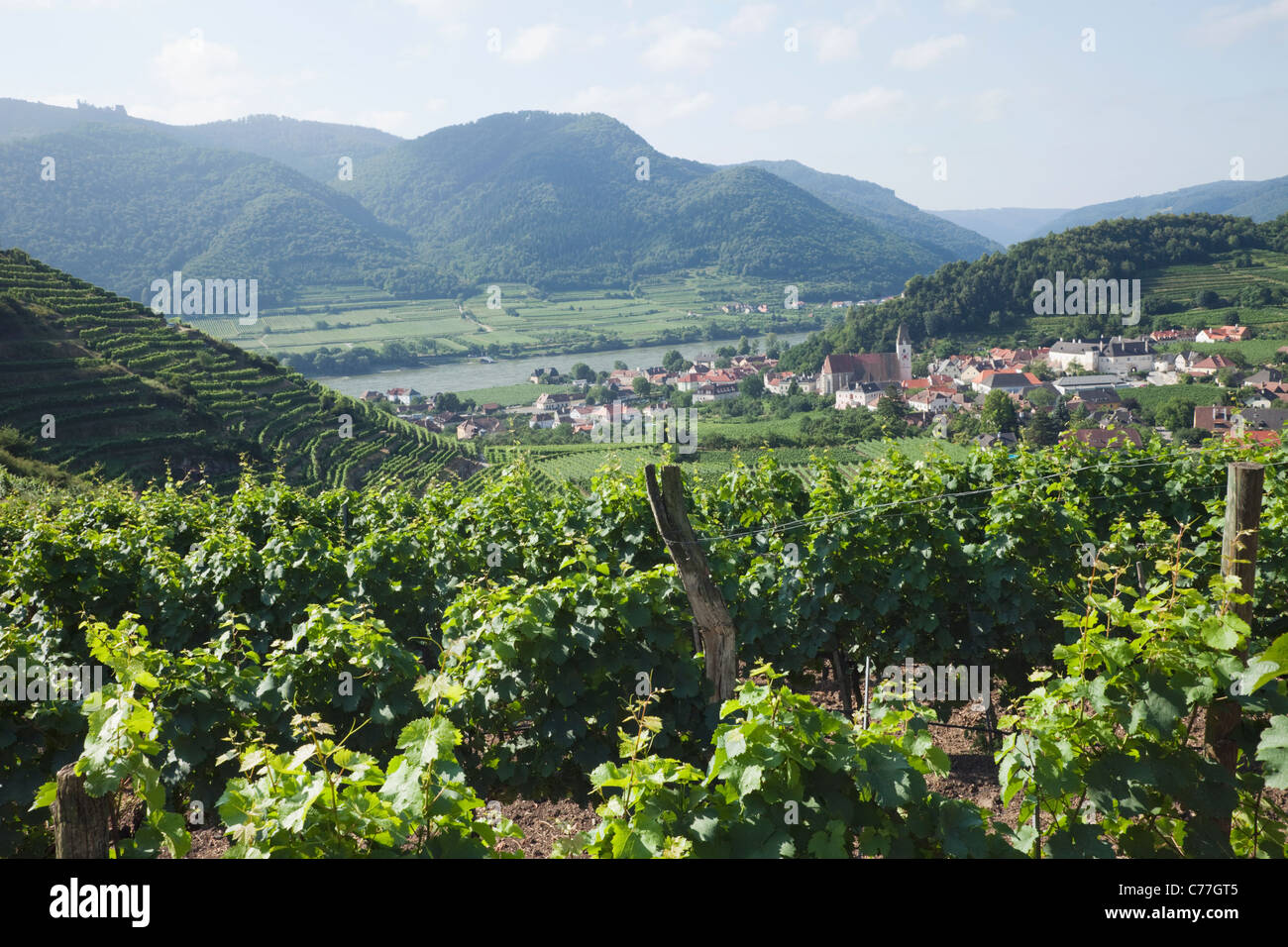 Austria, Wachau, Spitz and Danube River Stock Photo - Alamy