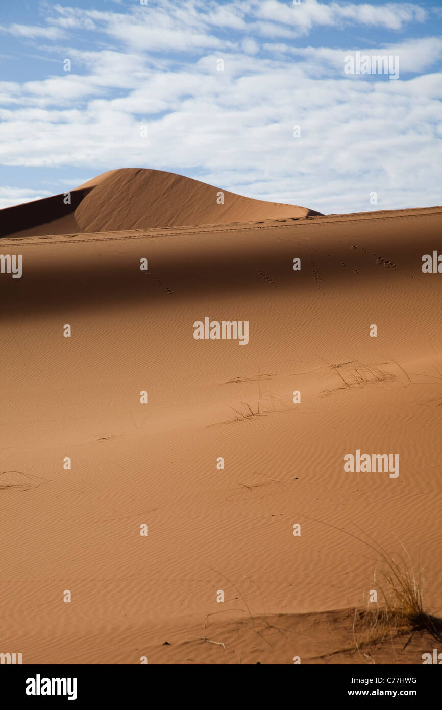 Sandscapes in desert hi-res stock photography and images - Alamy