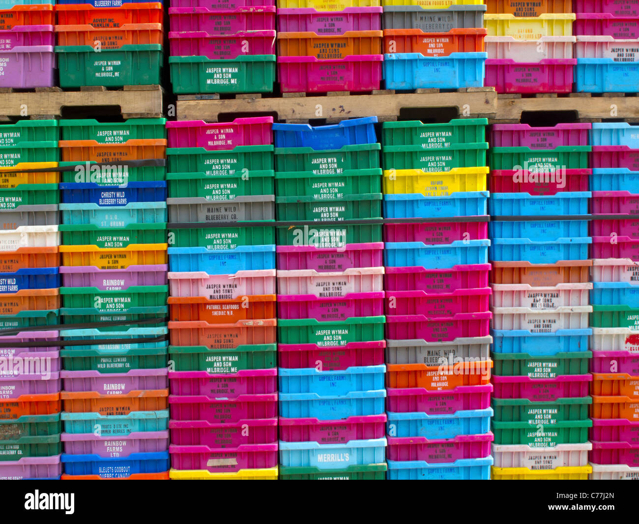 Are Plastic Blueberry Containers Recyclable at Jeffrey Tucker blog