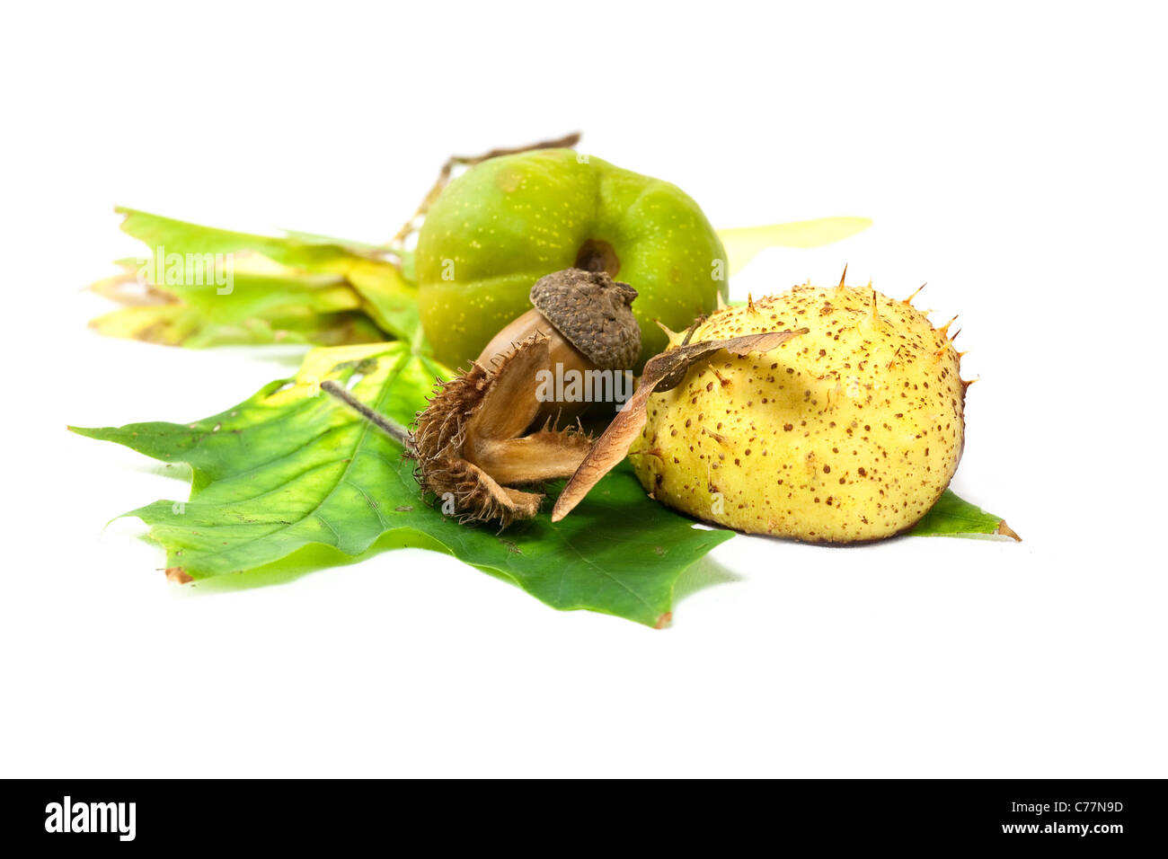 Still life shot hi-res stock photography and images - Alamy