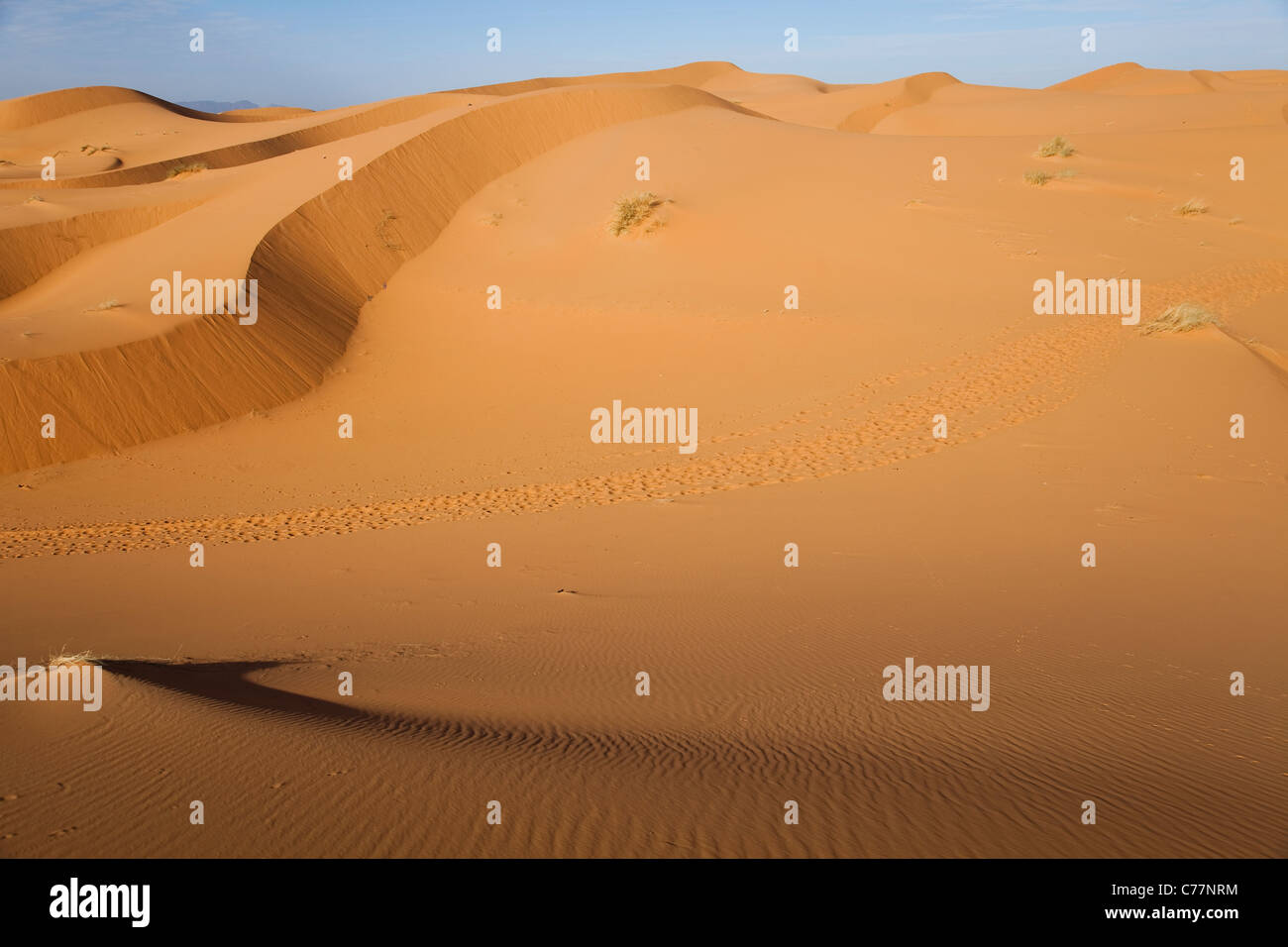 Sandscapes in the desert Stock Photo - Alamy