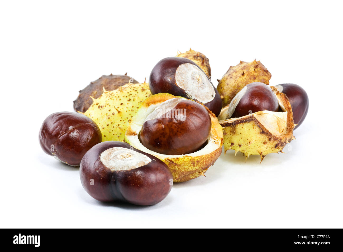 conkers and conker leaves and cases in the studio Stock Photo - Alamy conkers and conker leaves and cases in the studio Stock Photo - Alamy