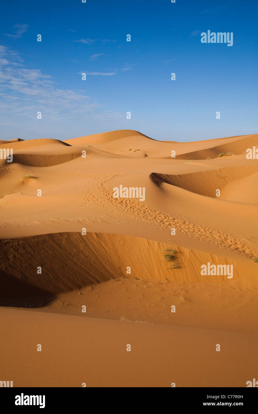 Sandscapes in the desert Stock Photo - Alamy