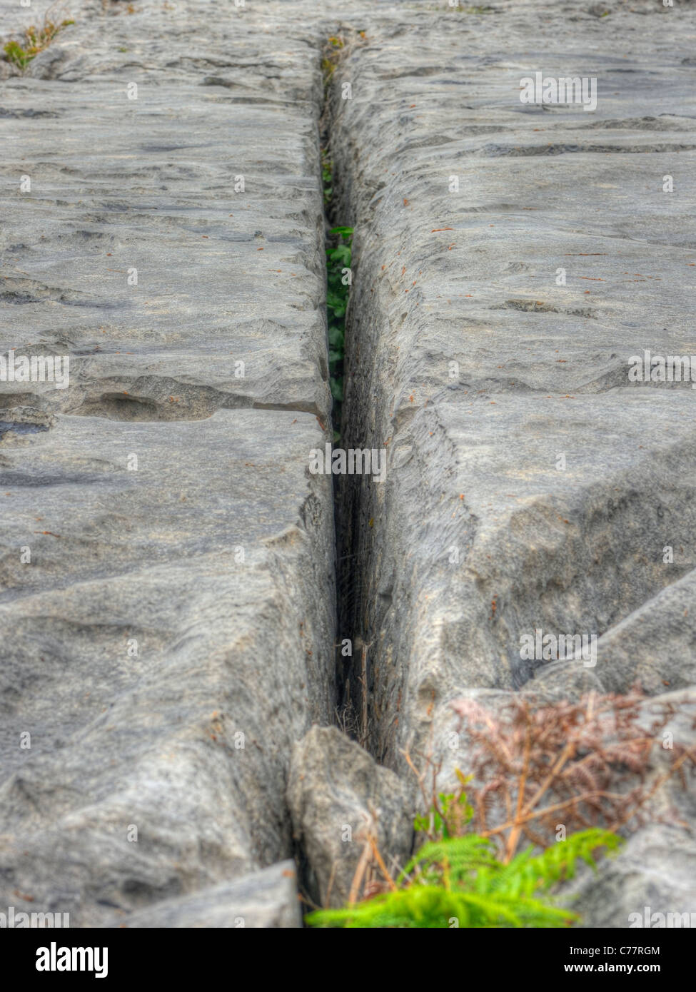 Deep Grike in Limestone Pavement on Inish Maan Stock Photo - Alamy