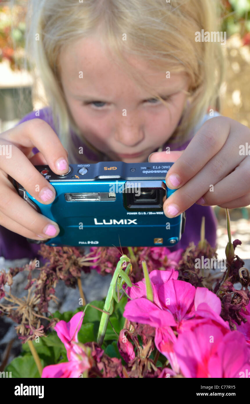 girl photographing insects and bugs in the garden Stock Photo - Alamy