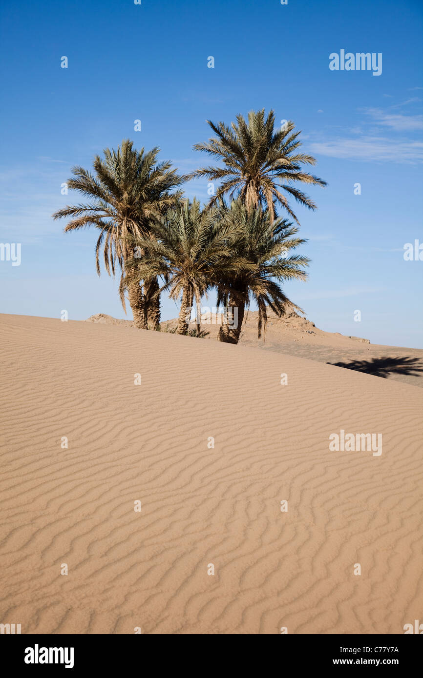 Sandscapes in desert hi-res stock photography and images - Alamy