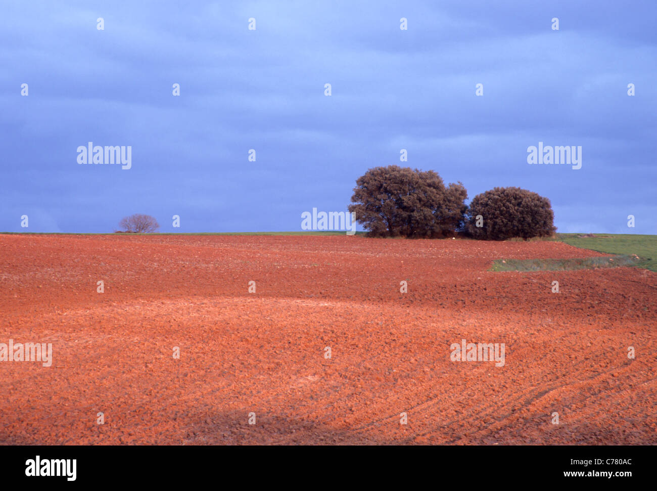 Dry land around Alarcón, Cuenca, Spain Stock Photo - Alamy