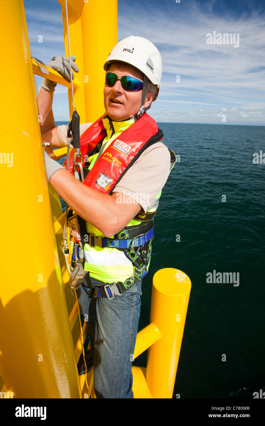 A worker climbs a turbine at the Walney offshore wind farm Stock Photo ...