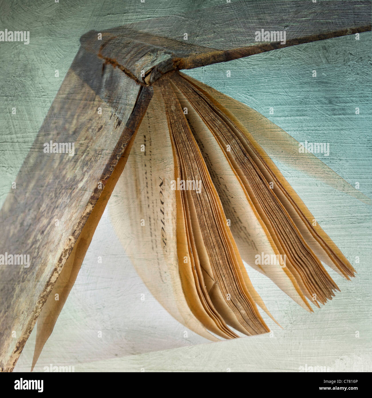 Detailed view of an old book with worn pages showing signs of age and ...