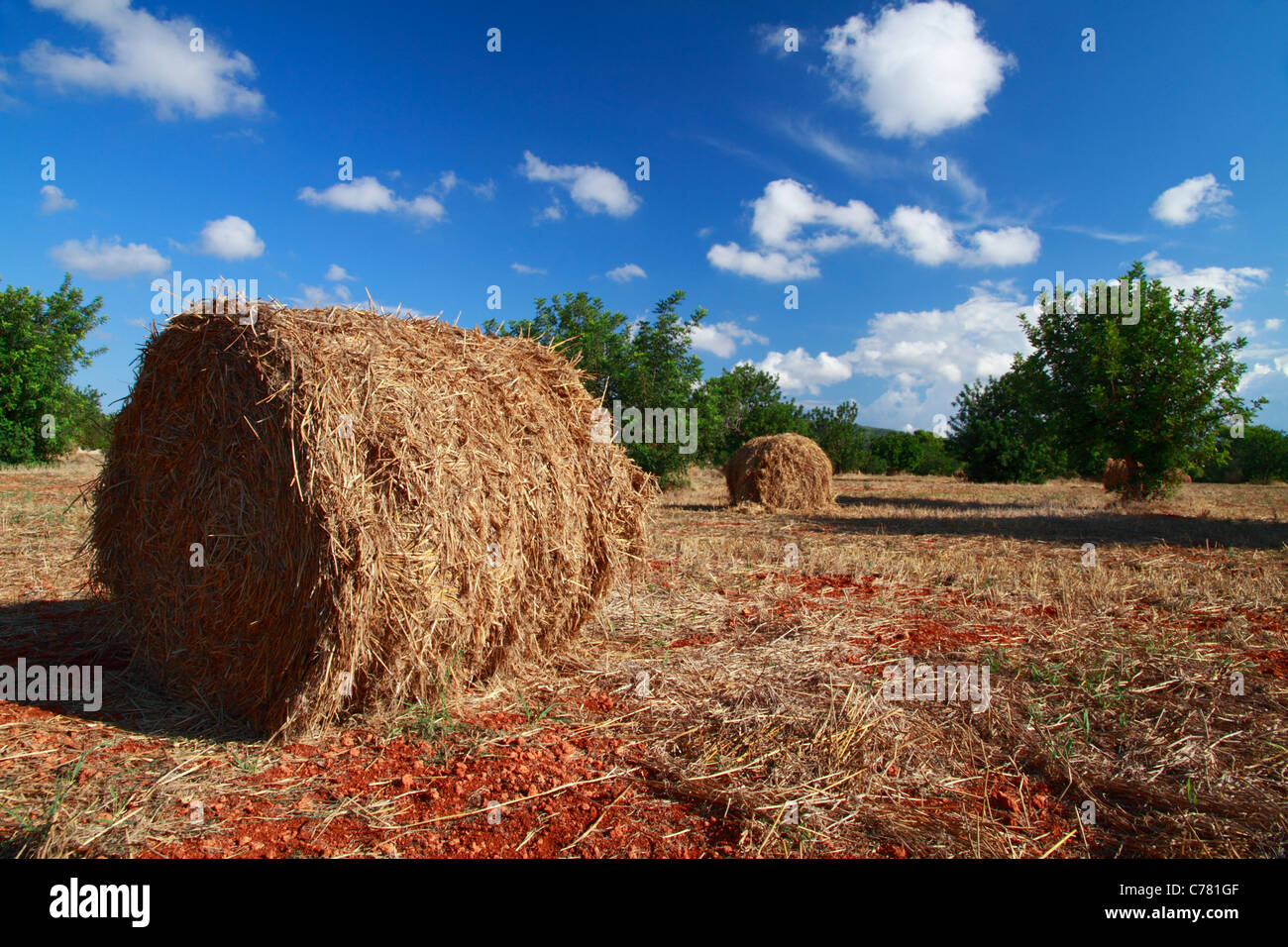 Verano general hi-res stock photography and images - Alamy