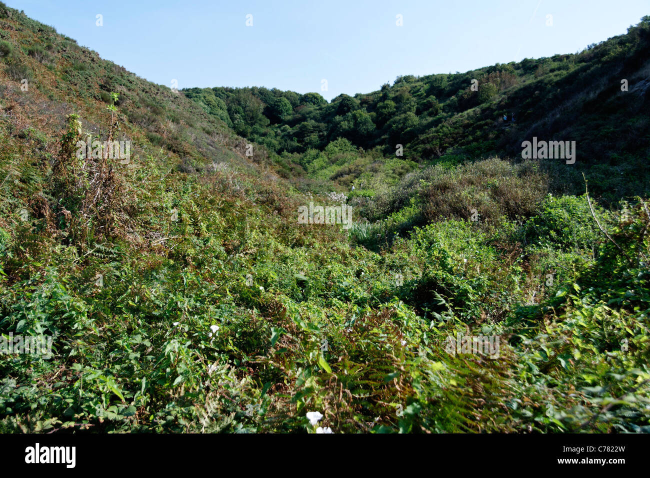 Lude hi-res stock photography and images - Alamy