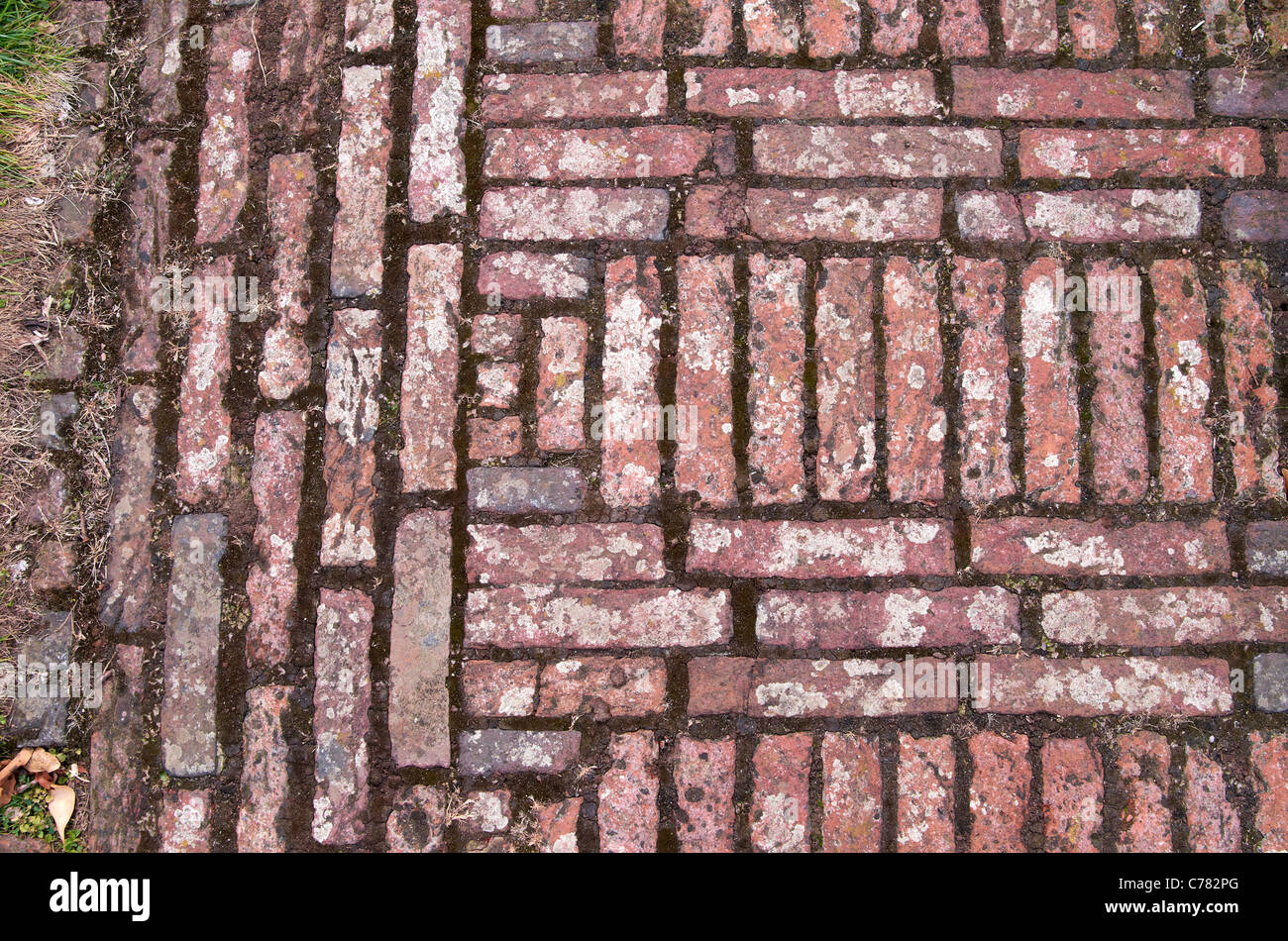 Old brick paviors (pavers or paviours )forming a rustic path in a ...