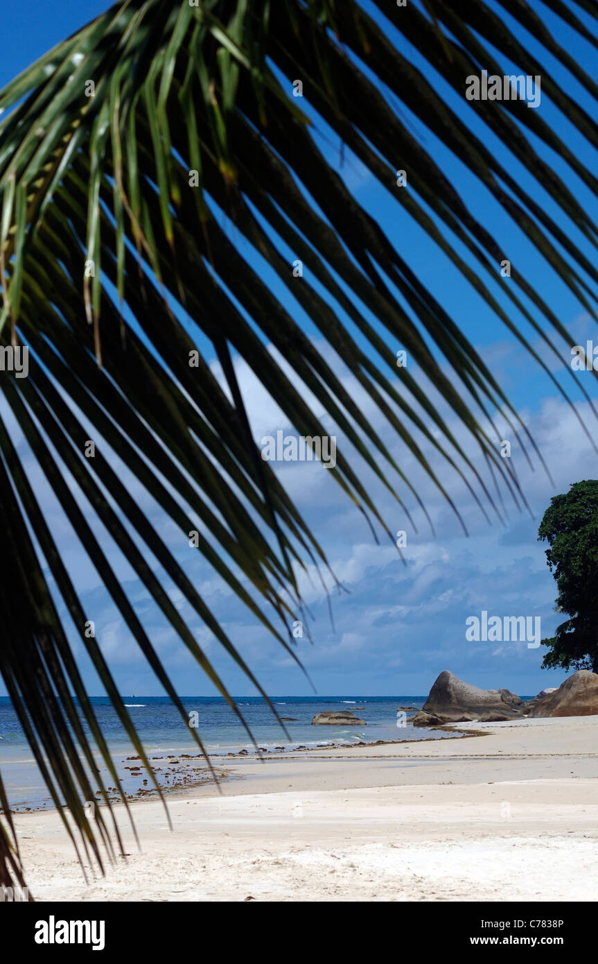 Beautiful white sand beach on Seychelles Island Stock Photo - Alamy