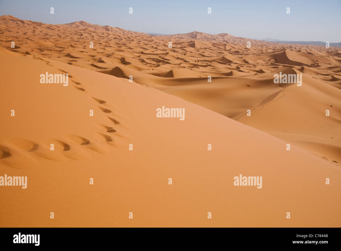Sandscapes in the desert Stock Photo - Alamy