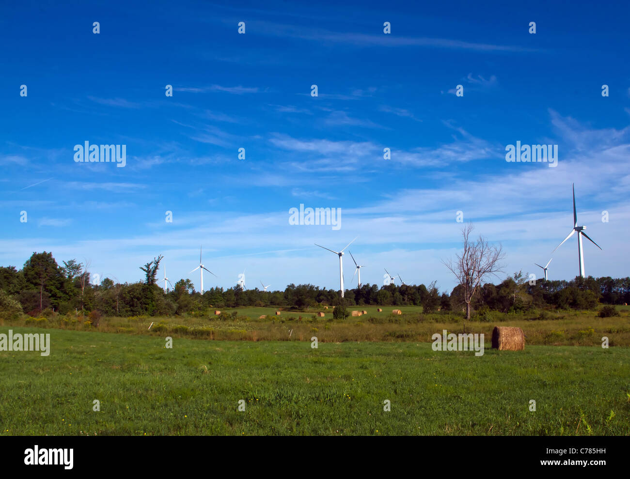 Across wind turbines field hi-res stock photography and images - Alamy