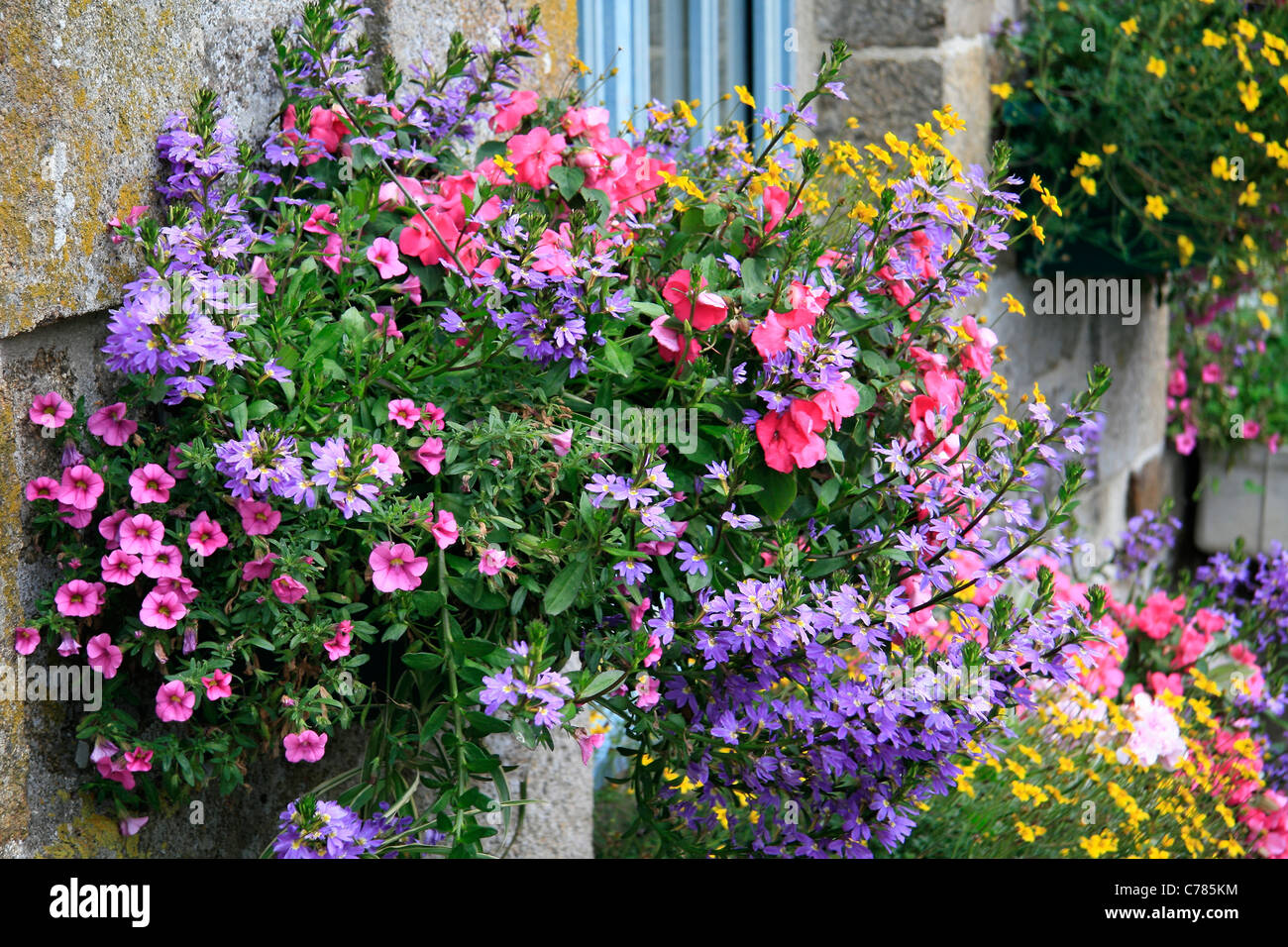 Pots of flowers around a window, house in a small village in France, St ...