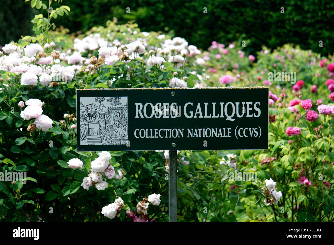 Symbols or logos of any commer hi-res stock photography and images - Alamy