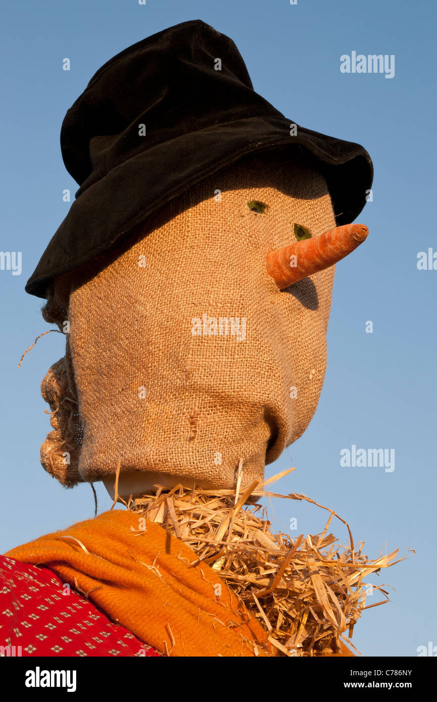 A portrait of a Scarecrow Stock Photo - Alamy