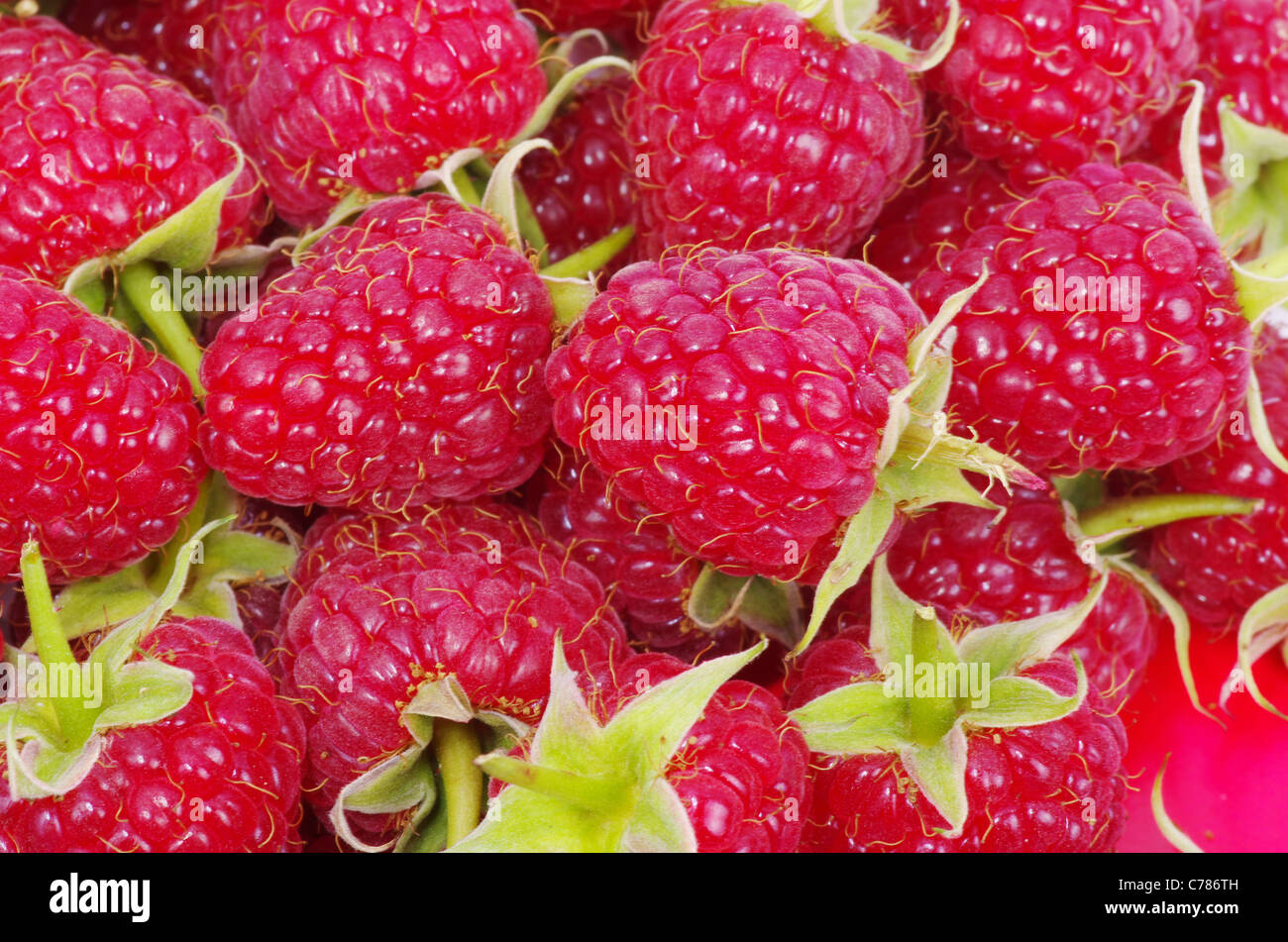 sweet fresh raspberry close up Stock Photo - Alamy