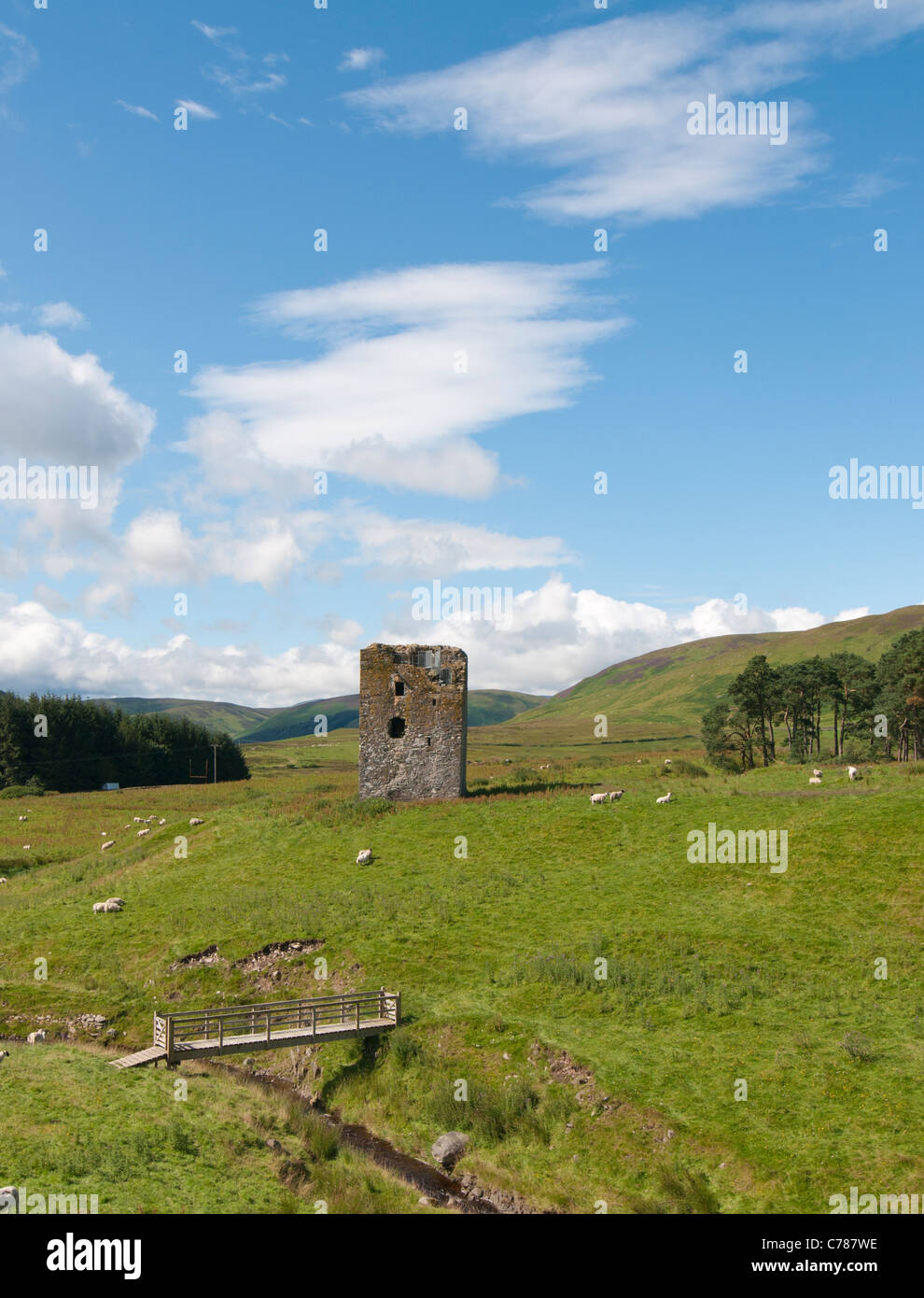 Philiphaugh estate hi-res stock photography and images - Alamy