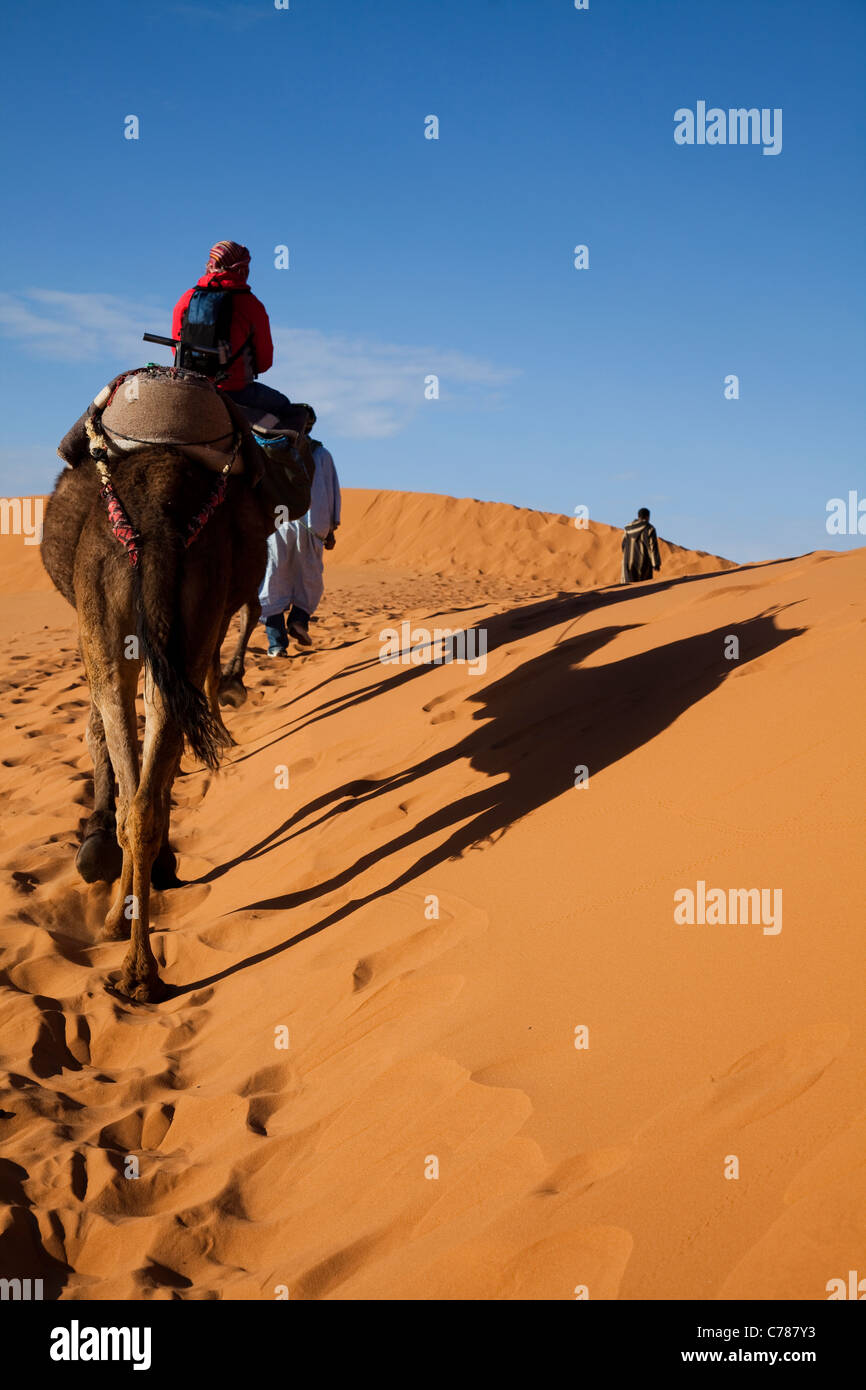 Sandscapes in the desert Stock Photo - Alamy