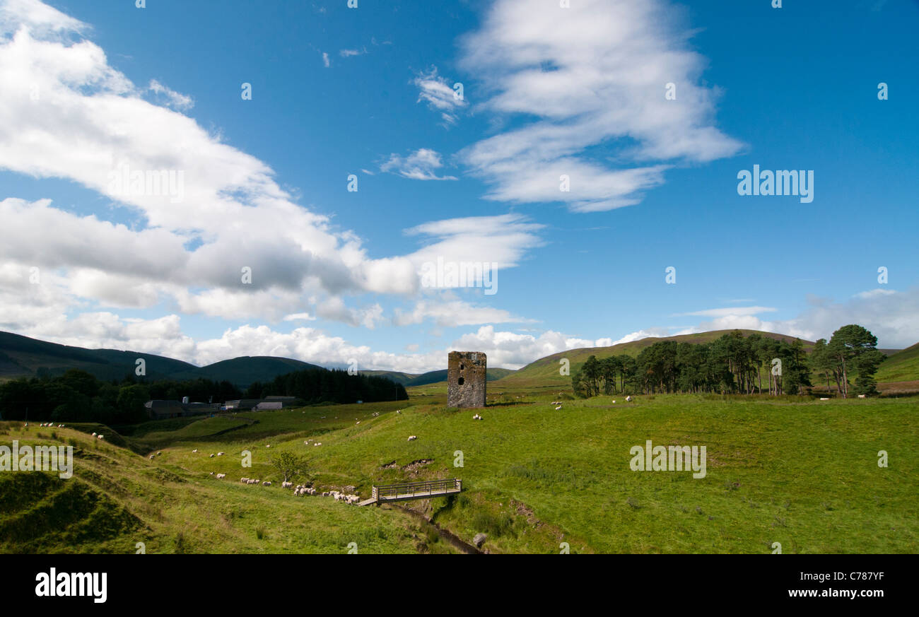 Philiphaugh estate hi-res stock photography and images - Alamy