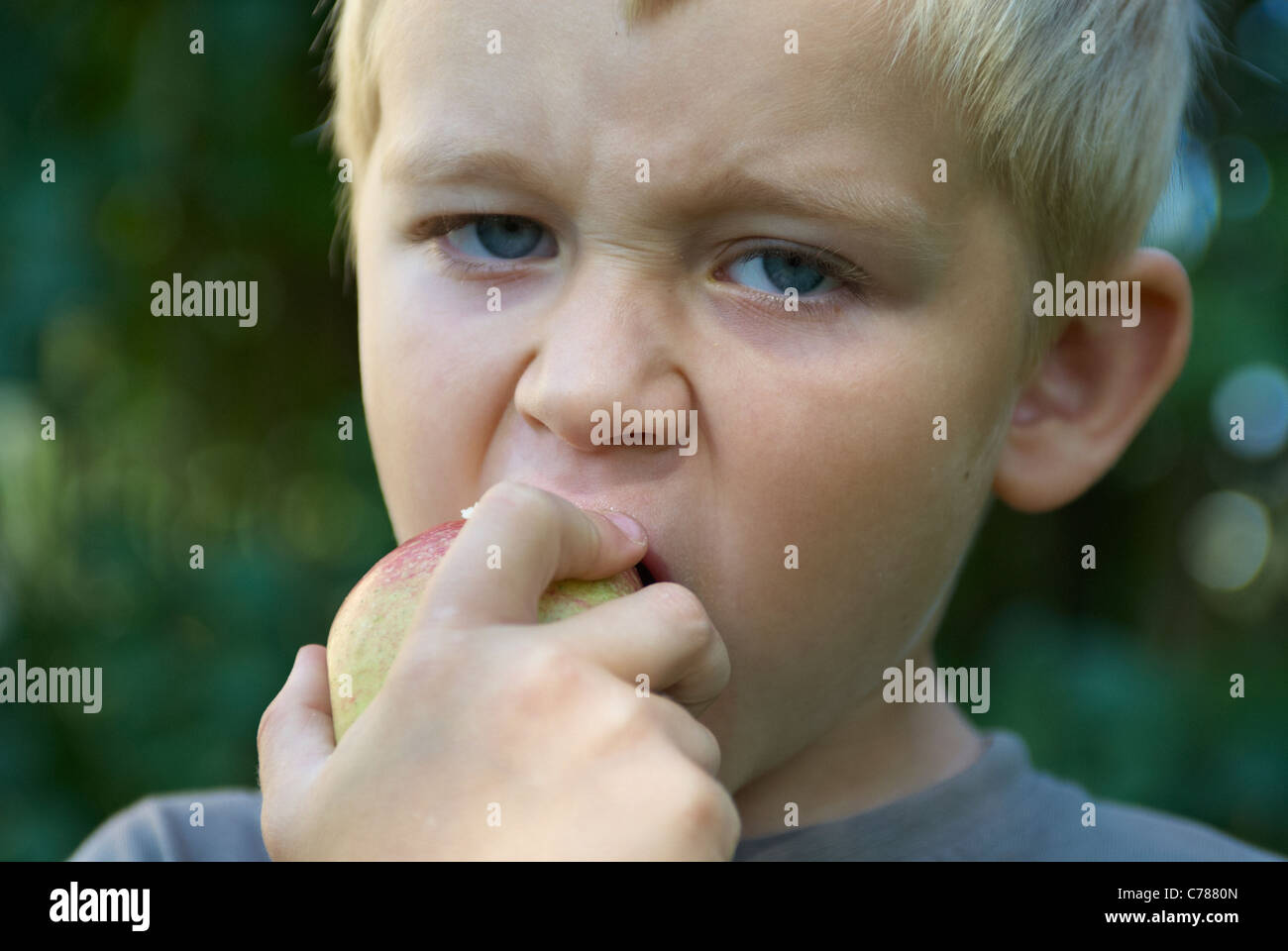 Child Blond Boy Biting in Apple Stock Photo - Alamy