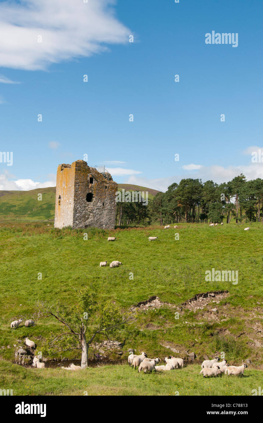 Philiphaugh estate hi-res stock photography and images - Alamy