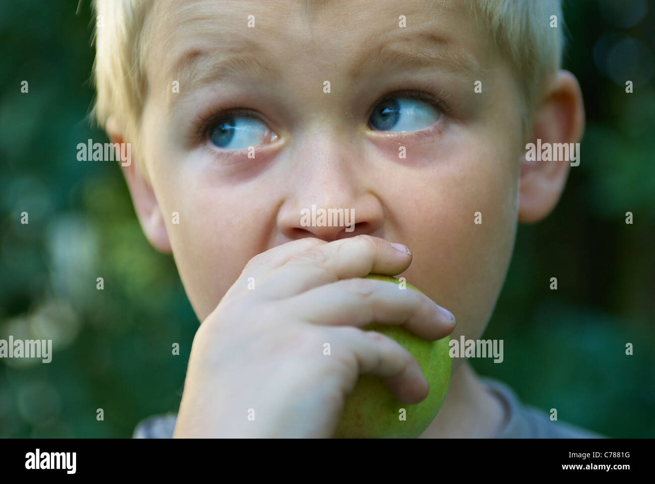 Child Blond Boy Biting in Apple Stock Photo - Alamy