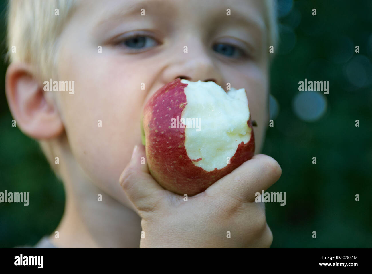 Child Blond Boy Biting in Apple Stock Photo - Alamy