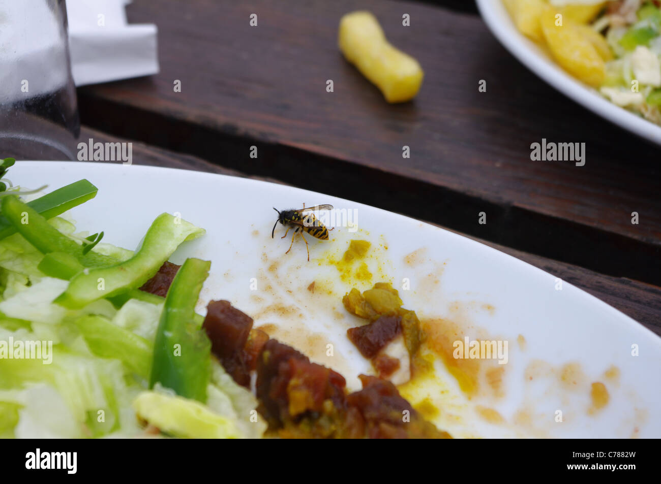 Wasp on food plate Stock Photo - Alamy