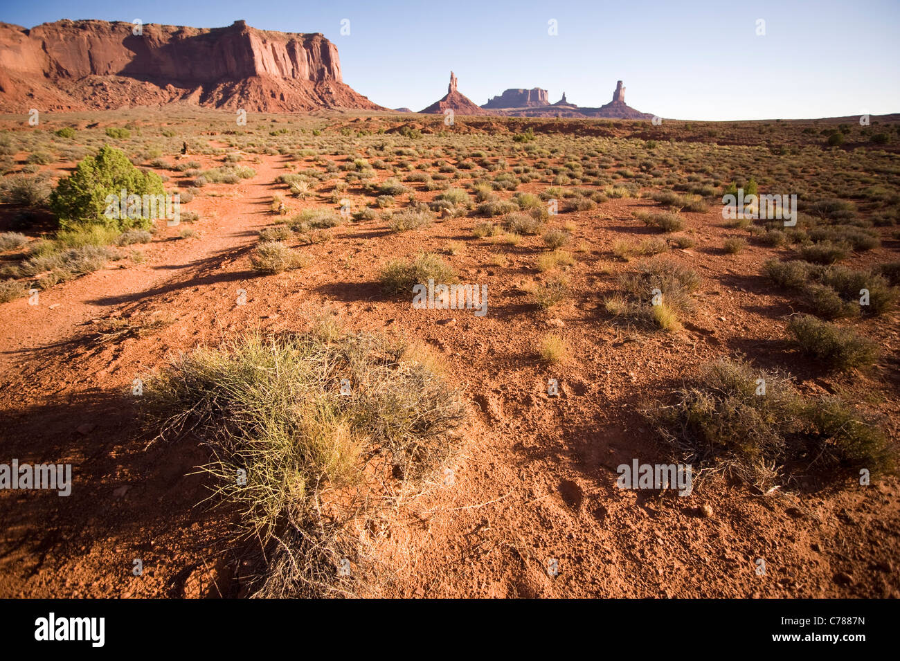 Wildcat trail Landscape Monument valley Navajo Tribal park Arizona USA ...