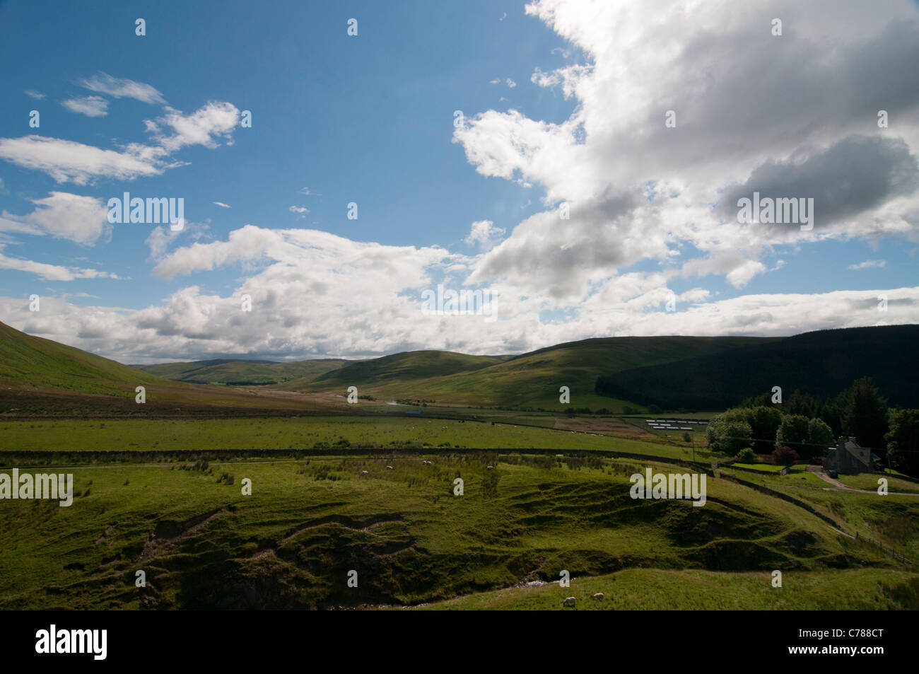Philiphaugh estate hi-res stock photography and images - Alamy