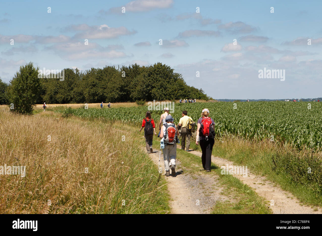 Excercising outdoor hi-res stock photography and images - Alamy