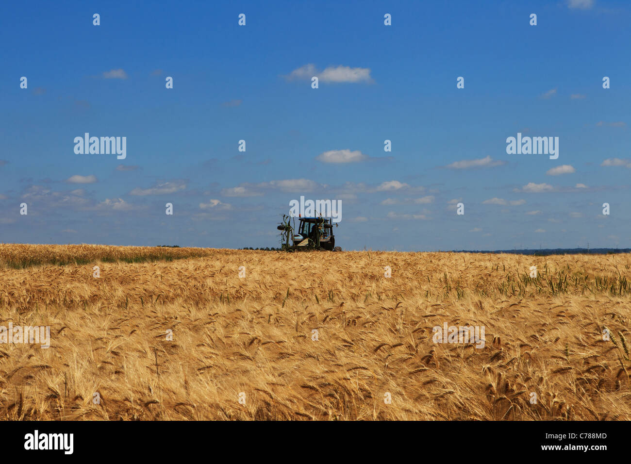 Farm wheat field farmland hi-res stock photography and images - Alamy