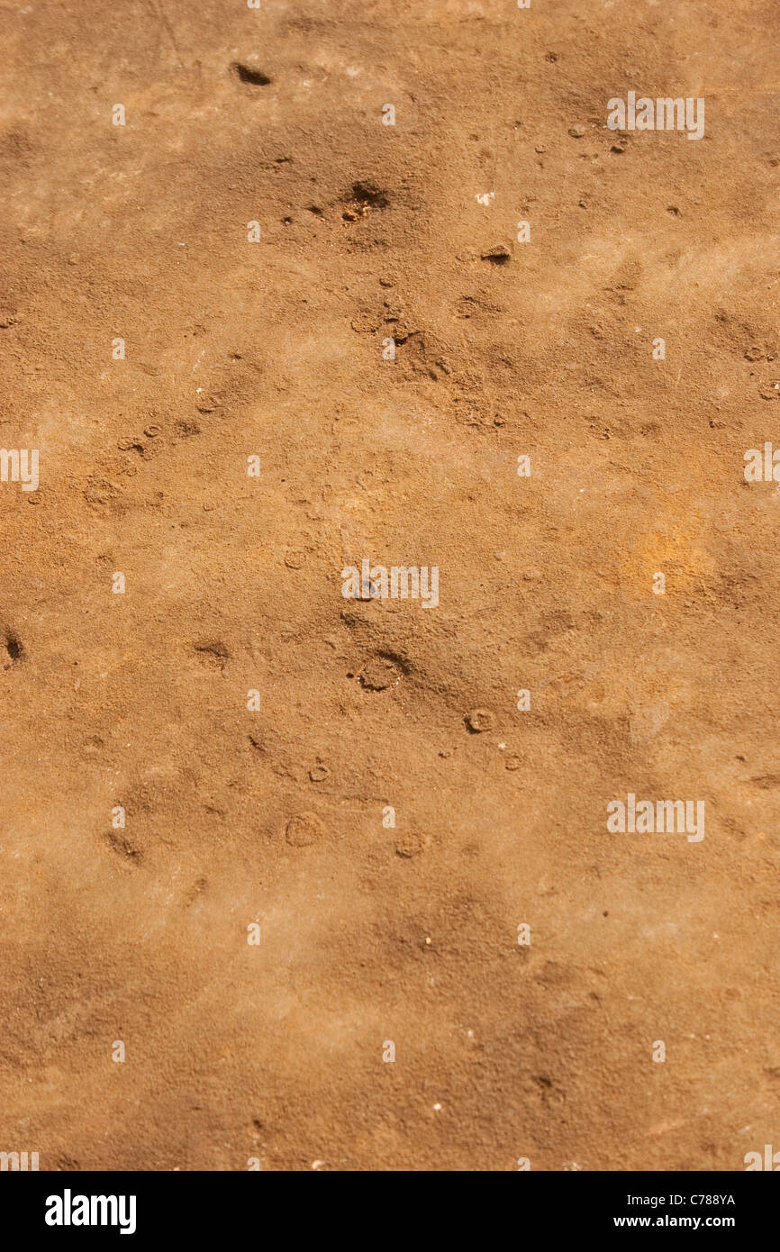 Sandstone paving slab texture rough hi-res stock photography and images ...