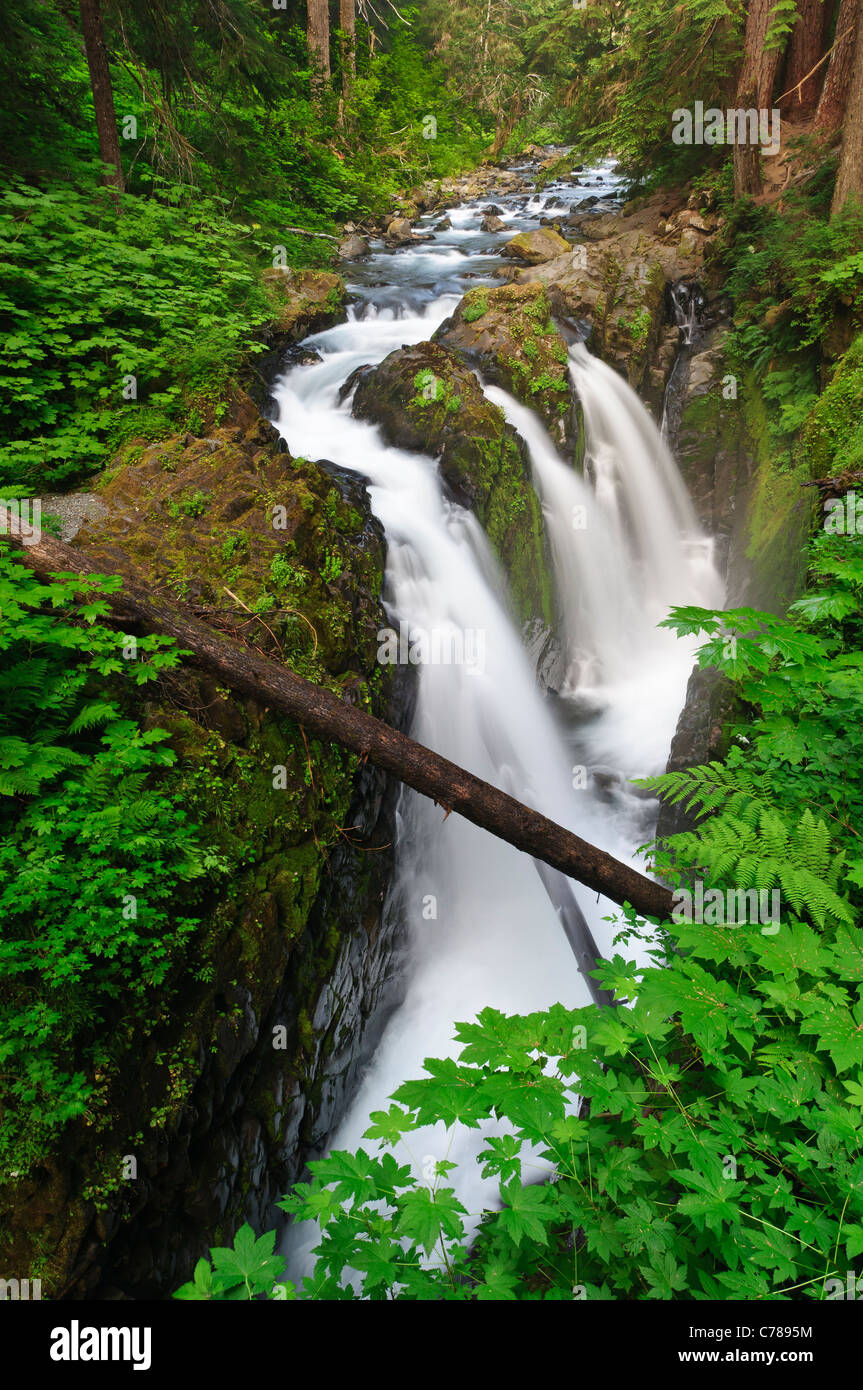 Sol duc hi-res stock photography and images - Alamy