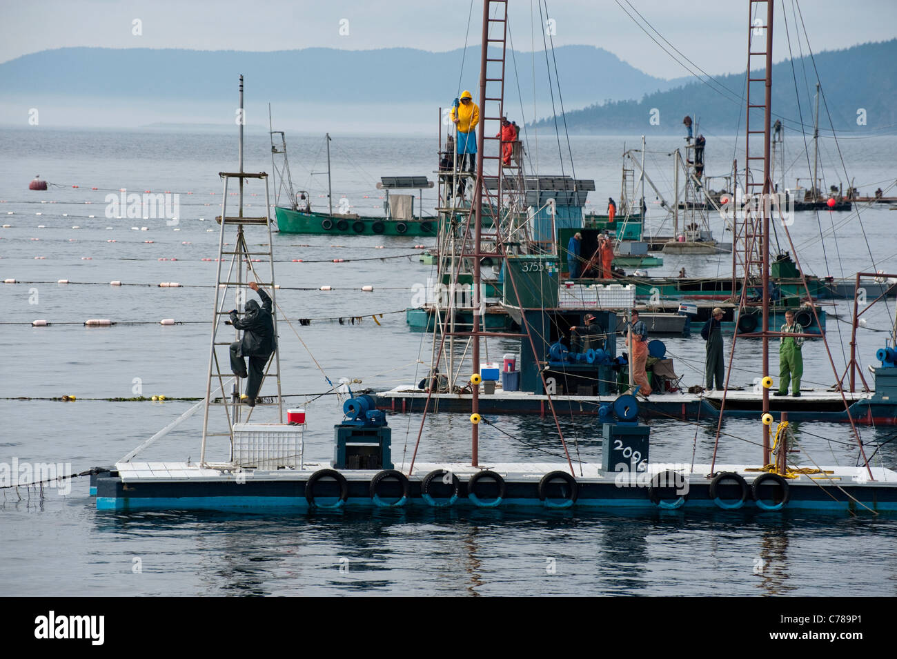 Wild Pacific Salmon commercial reefnet fishing is a historical Pacific ...