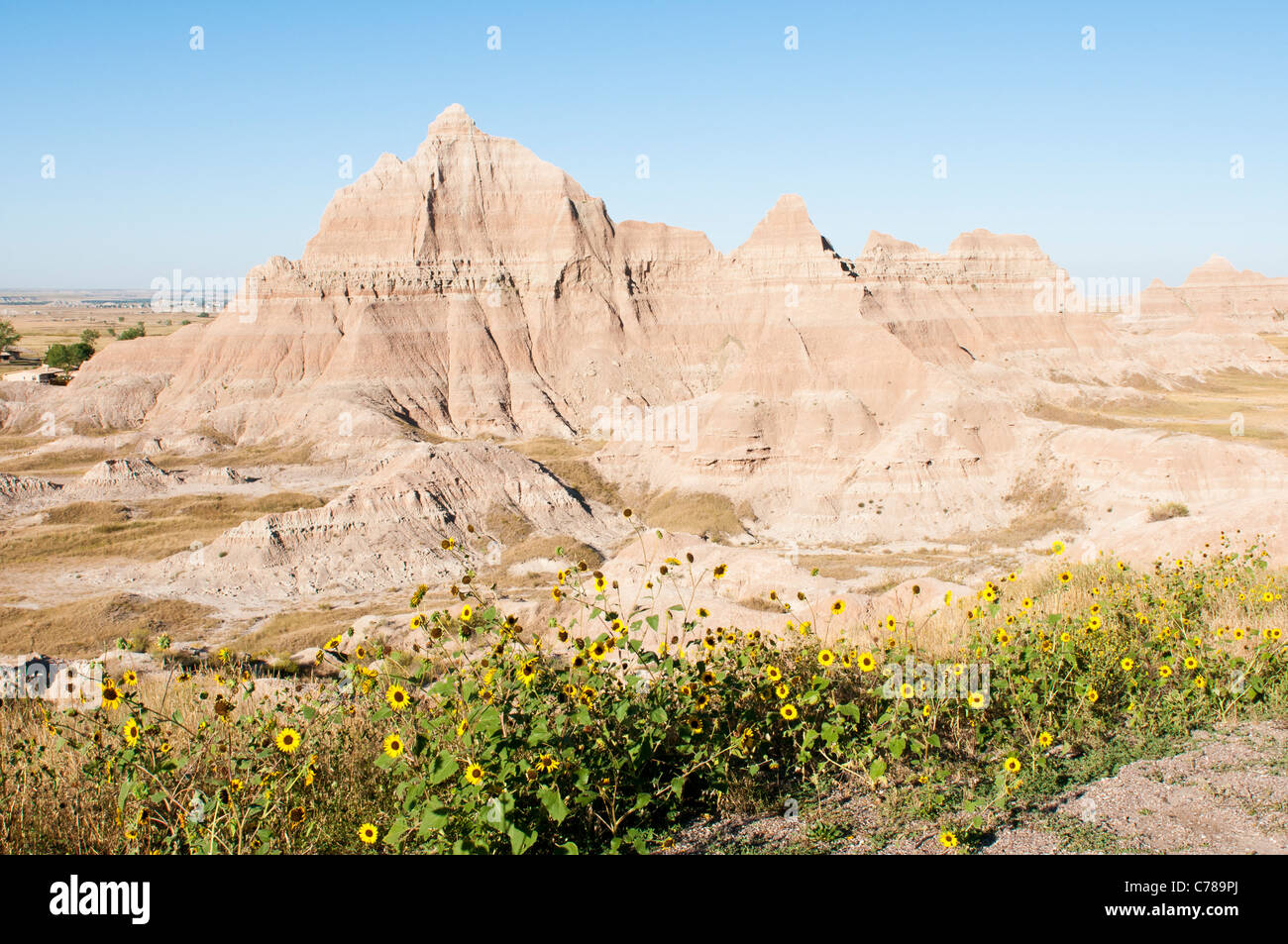 Sunflowers are shown in the foreground as sculpted spires rise above ...