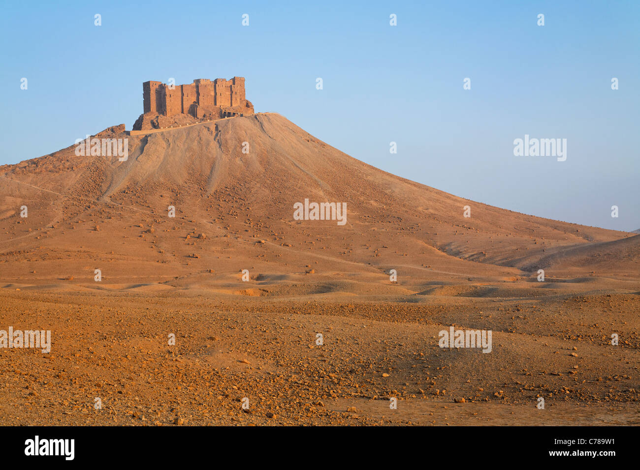 Syria qala'at ibn maan castle hi-res stock photography and images - Alamy