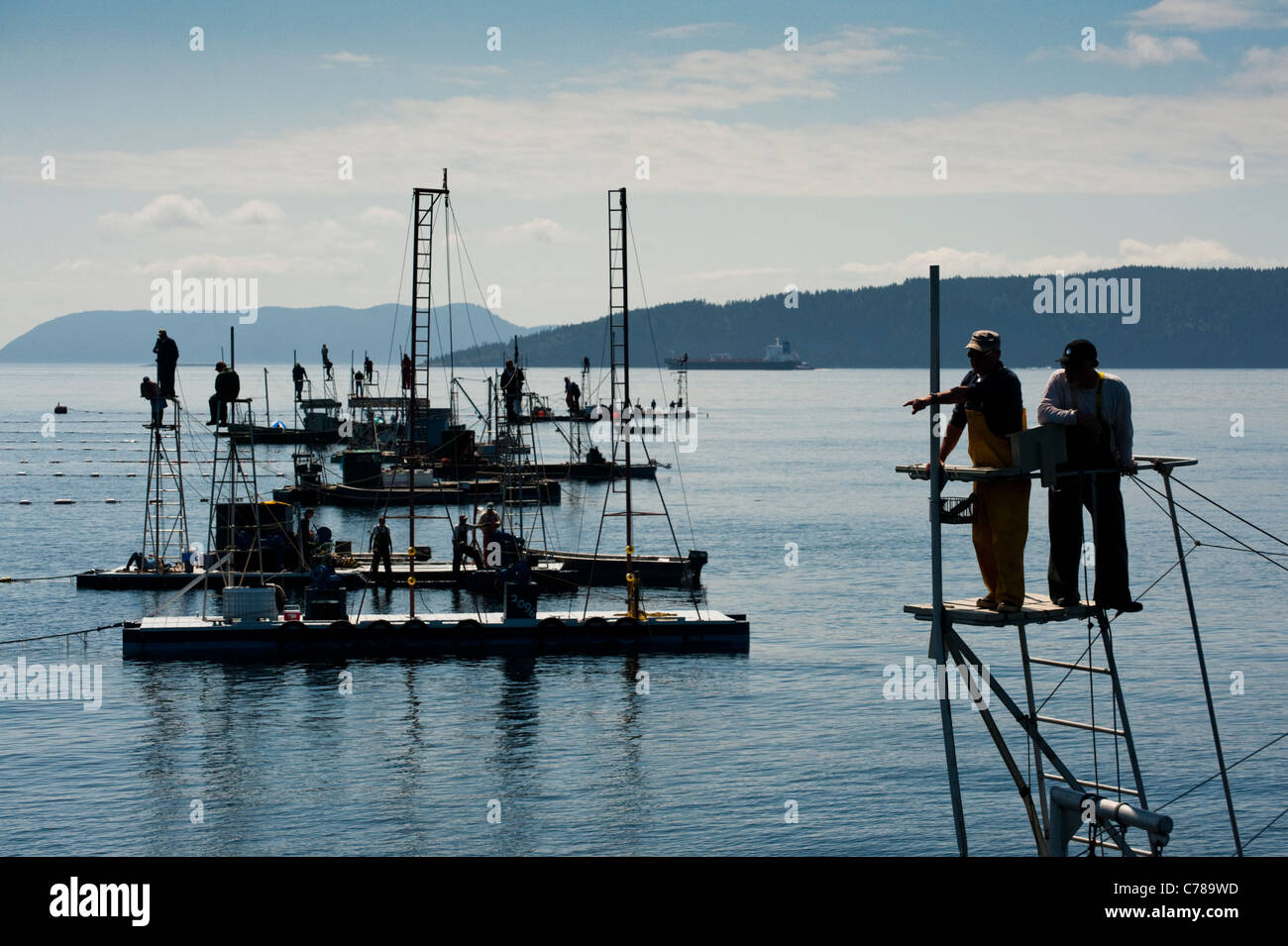 Wild Pacific Salmon commercial reefnet fishing is a historical Pacific ...