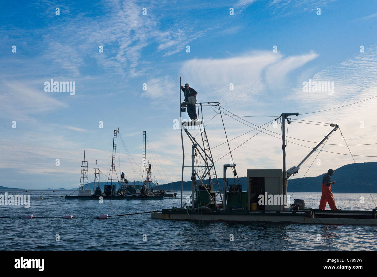 Wild Pacific Salmon commercial reefnet fishing is a historical Pacific ...