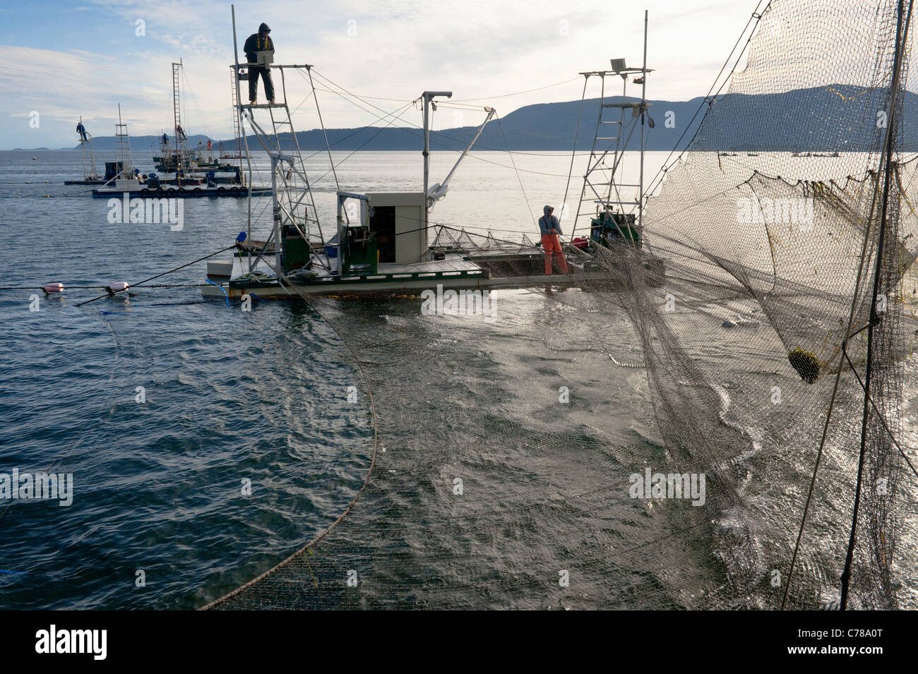 Reefnet hi-res stock photography and images - Alamy