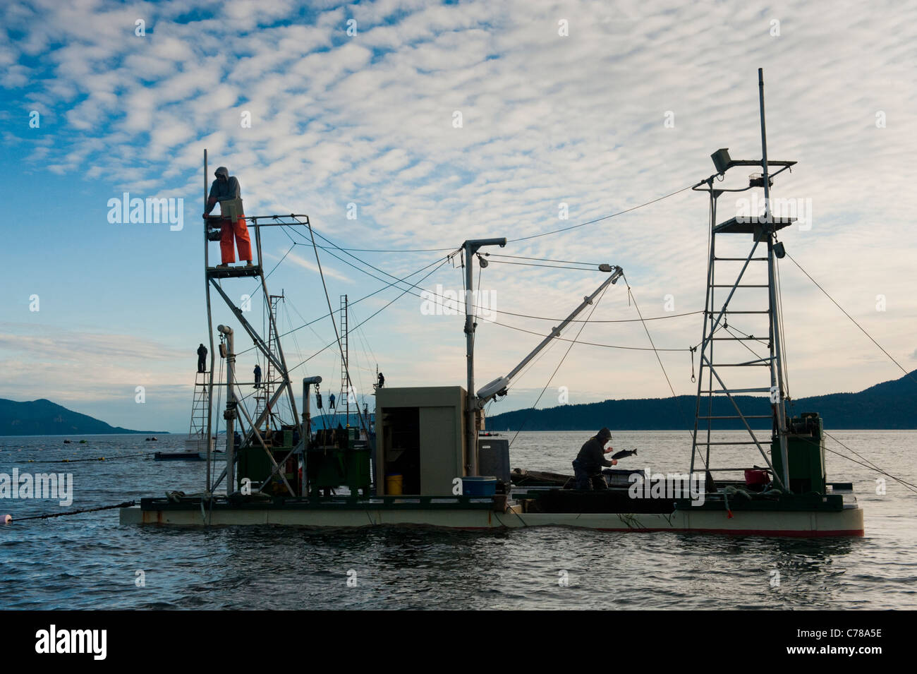 Wild Pacific Salmon commercial reefnet fishing is a historical Pacific ...