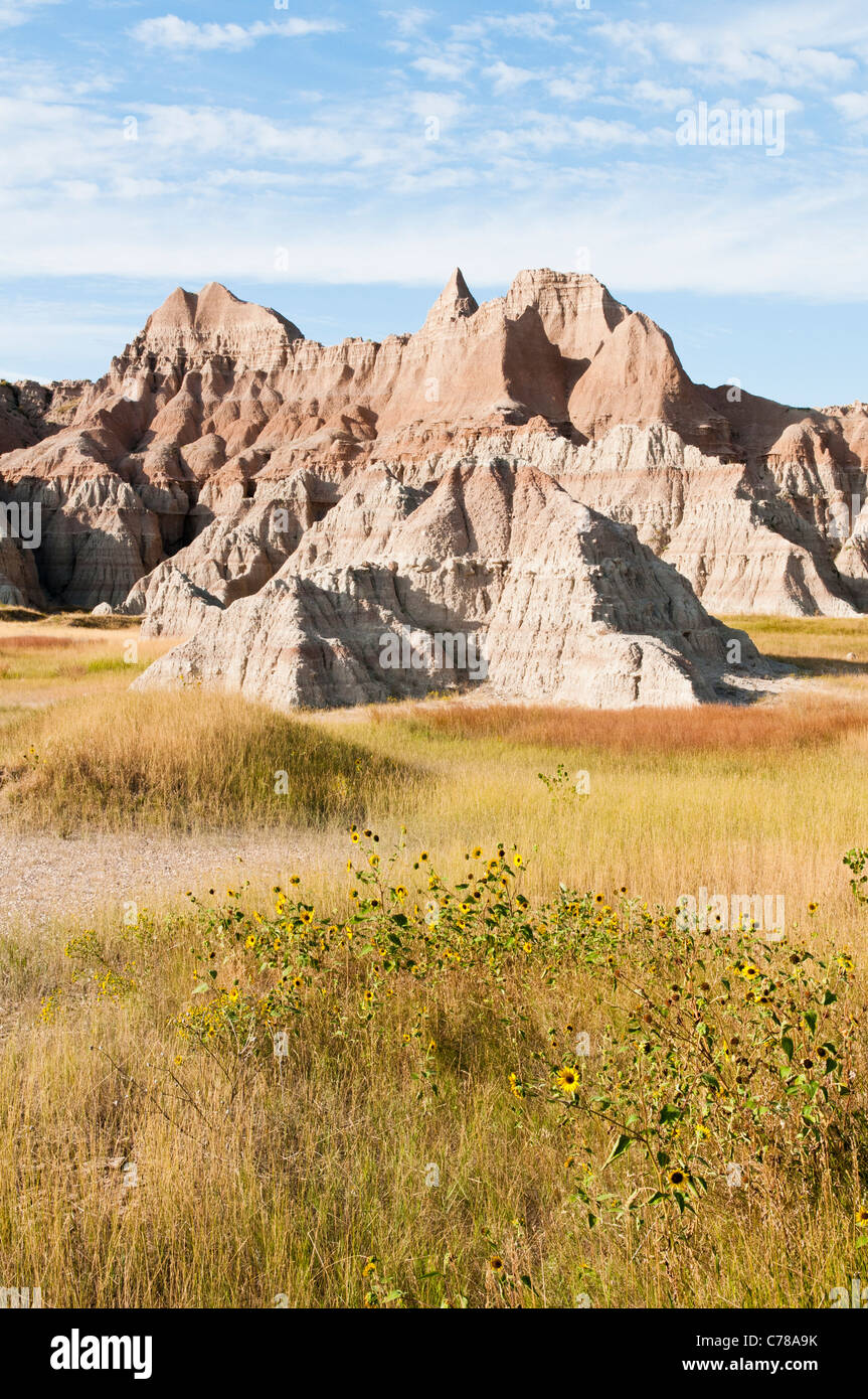 Sunflowers are shown in the foreground as sculpted spires rise above ...