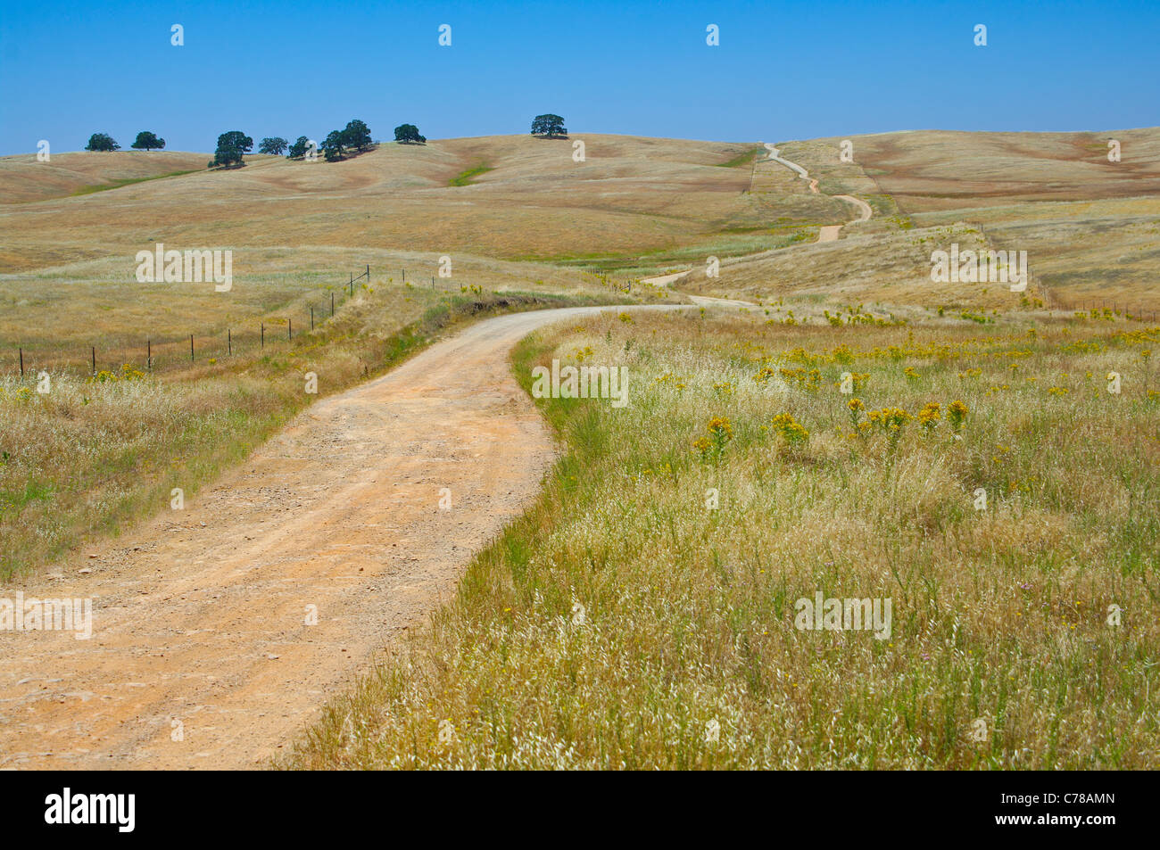 Back country road hi-res stock photography and images - Alamy